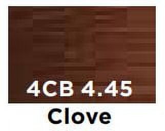 Redken Color Gel Lacquers - 4CB/ 4.45 Clove - Pack of 1 with Sleek Comb ...