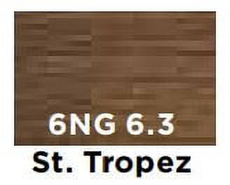 Redken Color Gel Lacquers - 6NG/6.3 St. Tropez - Pack of 1 with Sleek ...