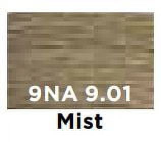 Redken Color Gel Lacquers - 9NA/ 9.01 Mist - Pack of 1 with Sleek Comb ...