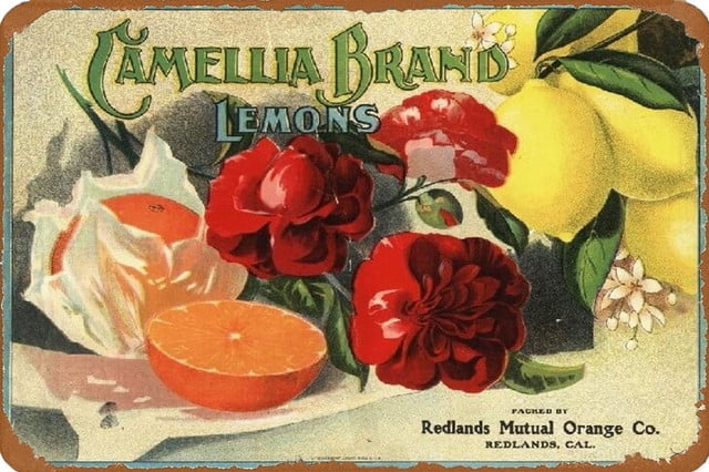 Redlands Camellia Lemon Citrus Fruit Crate Label Art Print Wall Art Tin ...