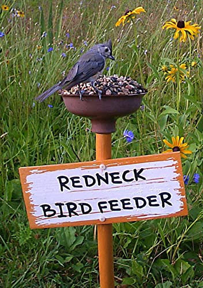 Redneck Toilet Plunger Bird Feeder Bird Bath - Walmart.com