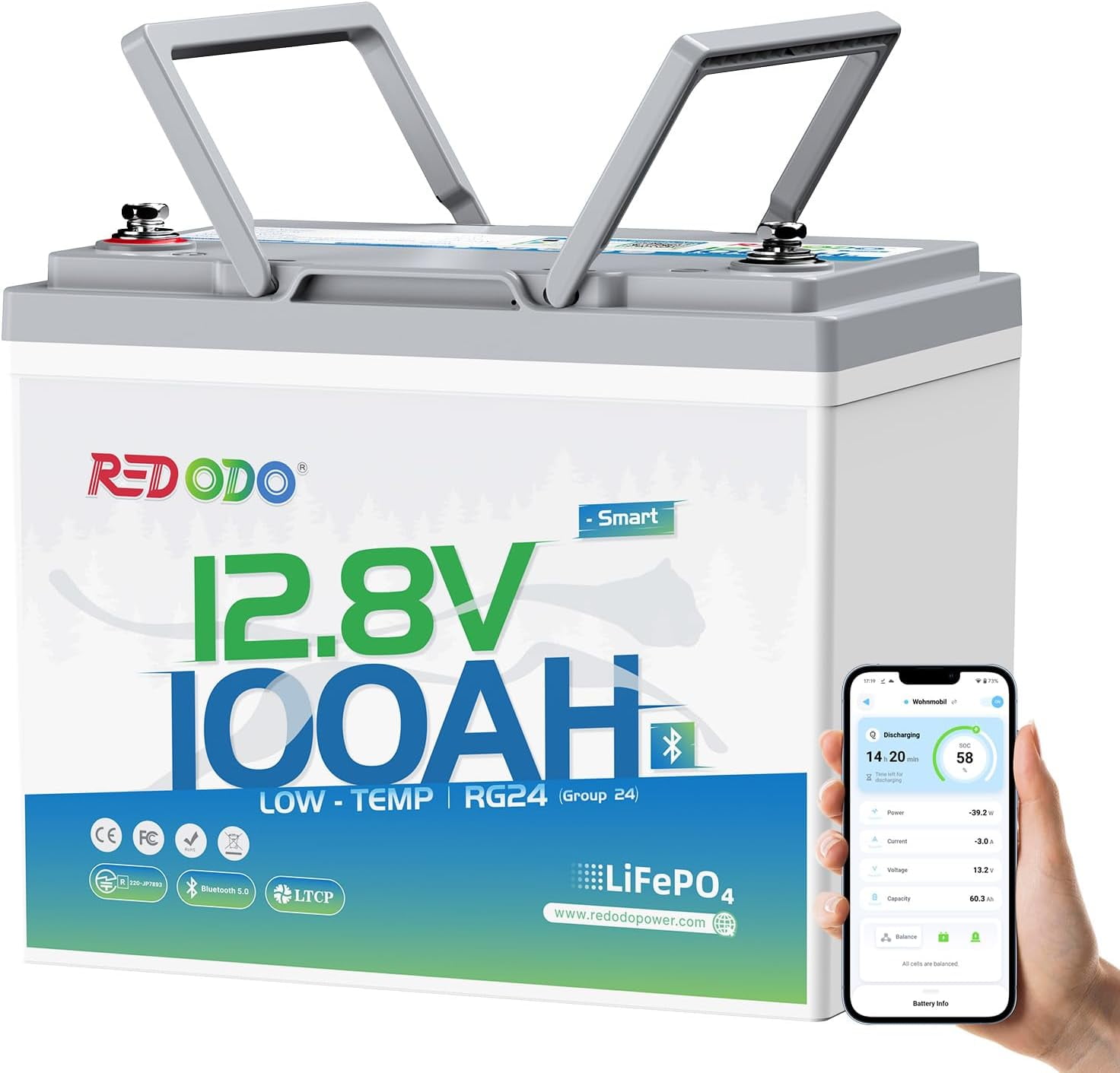 Redodo 12V 100Ah LiFePO4 Battery Bluetooth Low-Temp Protection Group 24 ...