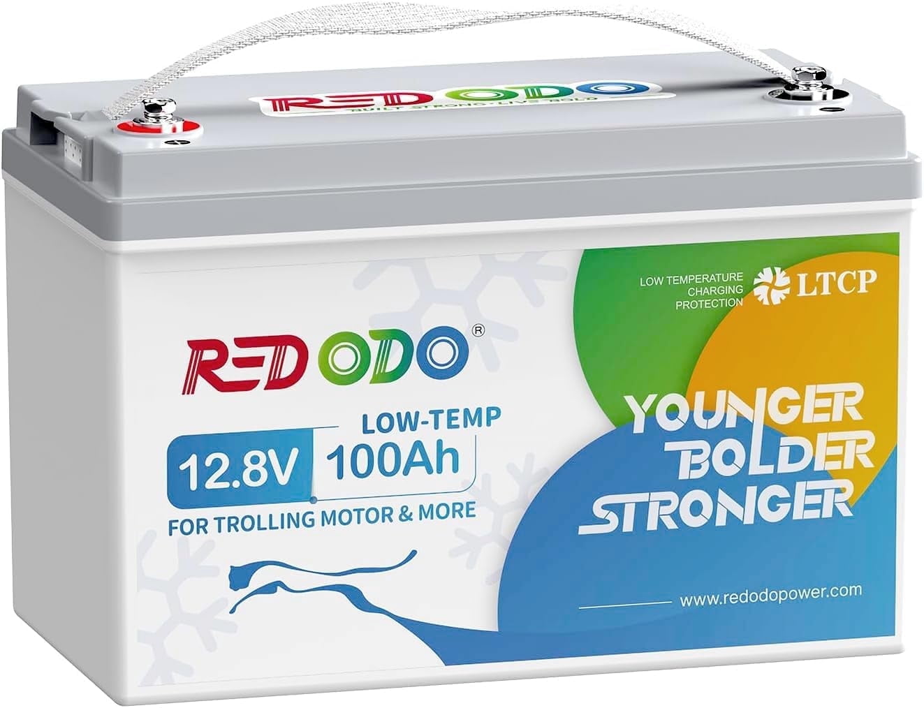 Redodo 12.8V 100AH LiFePO4 Battery 100A BMS Low Temperature Cutoff ...