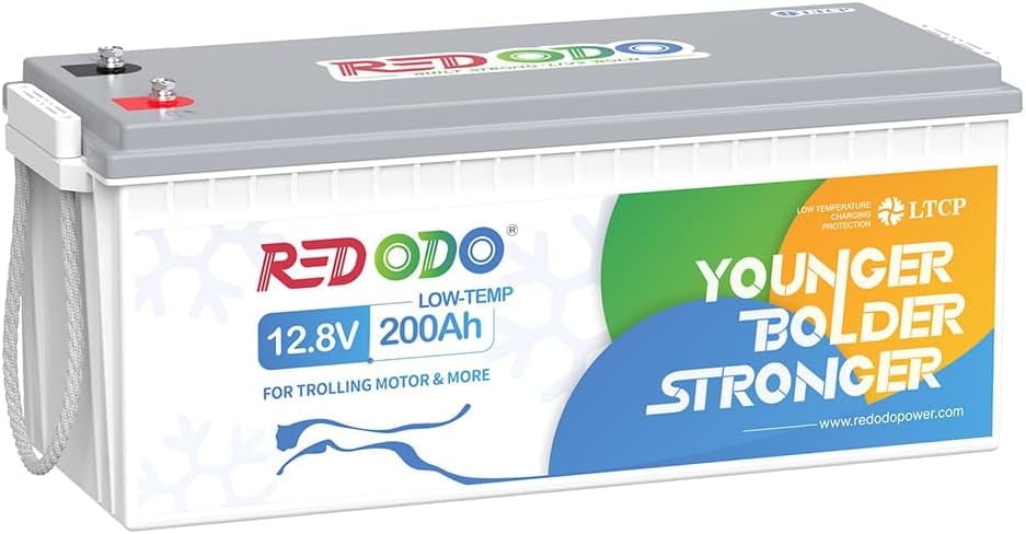Redodo 12.8V 200AH LiFePO4 Battery, 100A BMS, Low Temp, ION CELL, Deep ...