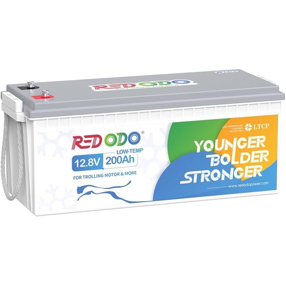 Redodo Lithium Batteries in Batteries and Accessories - Walmart.com