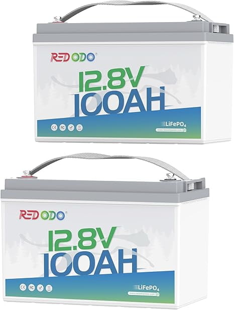 Redodo 2 Pack 12V 100Ah LiFePO4 Battery 100A BMS 1280Wh Group 31 ...