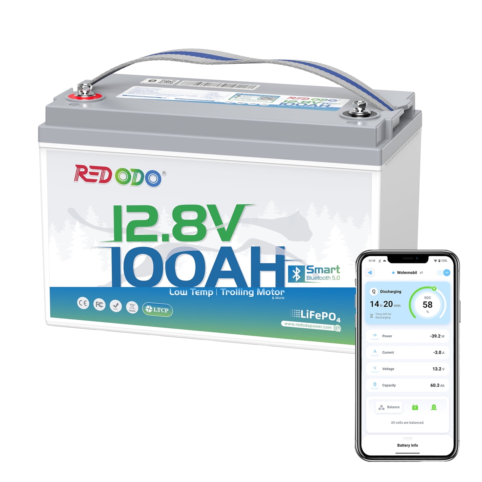 Redodo 12V 100Ah LiFePO4 Battery Bluetooth 100A BMS Remote Control ...