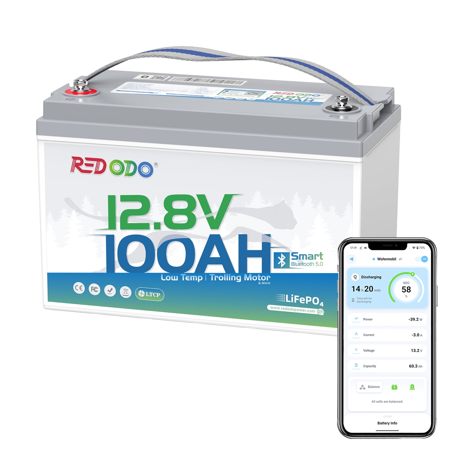 Redodo 12V 100Ah LiFePO4 Battery Bluetooth 100A BMS Remote Control ...
