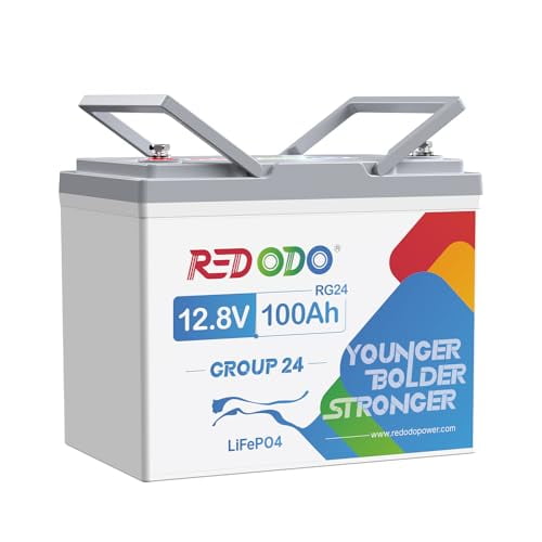 Redodo 12V 100Ah LiFePO4 Battery, Group 24 Rechargeable Lithium Deep ...