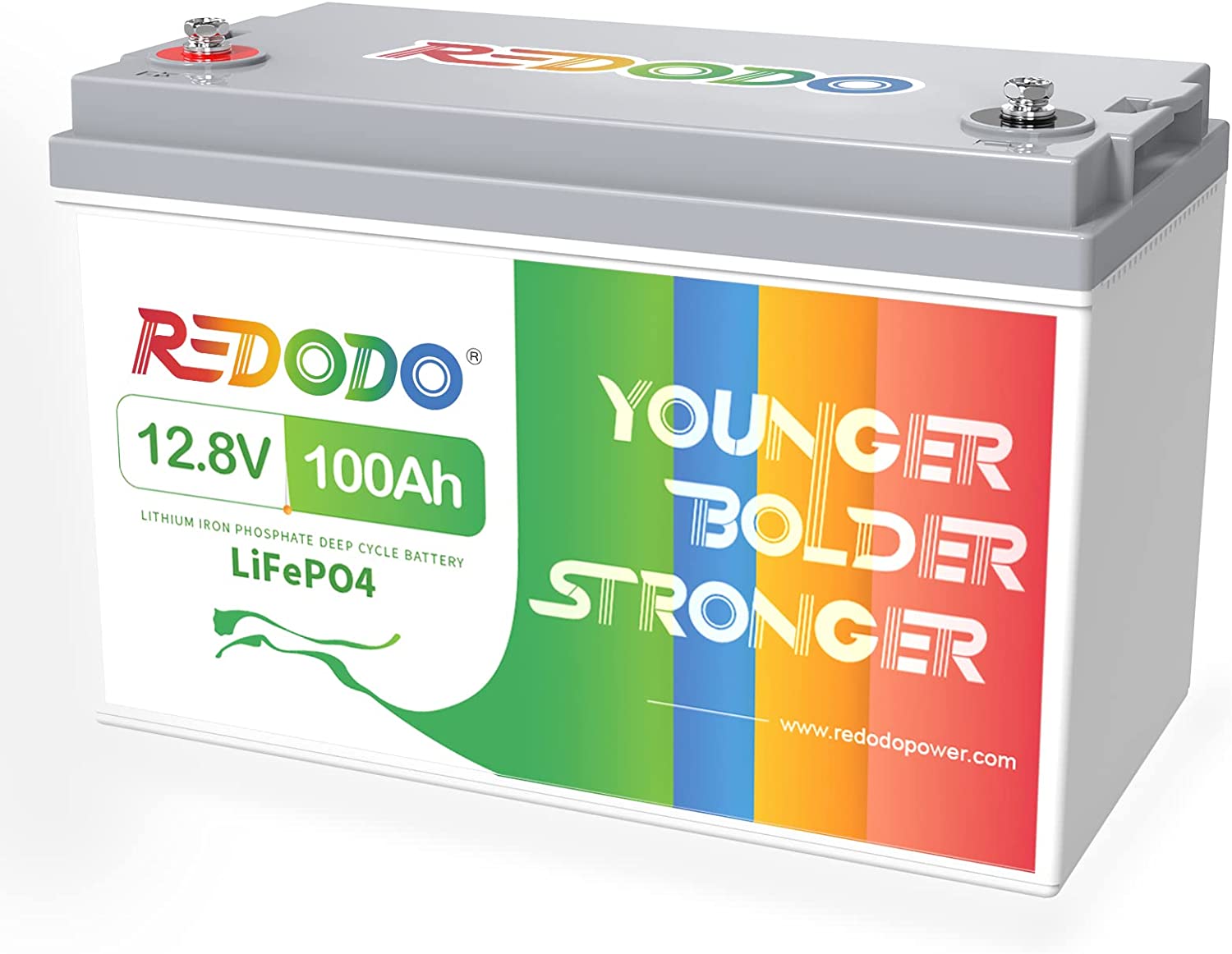 EverStart Lead Acid Marine & RV Deep Cycle Battery, Group Size 24DC 12 ...