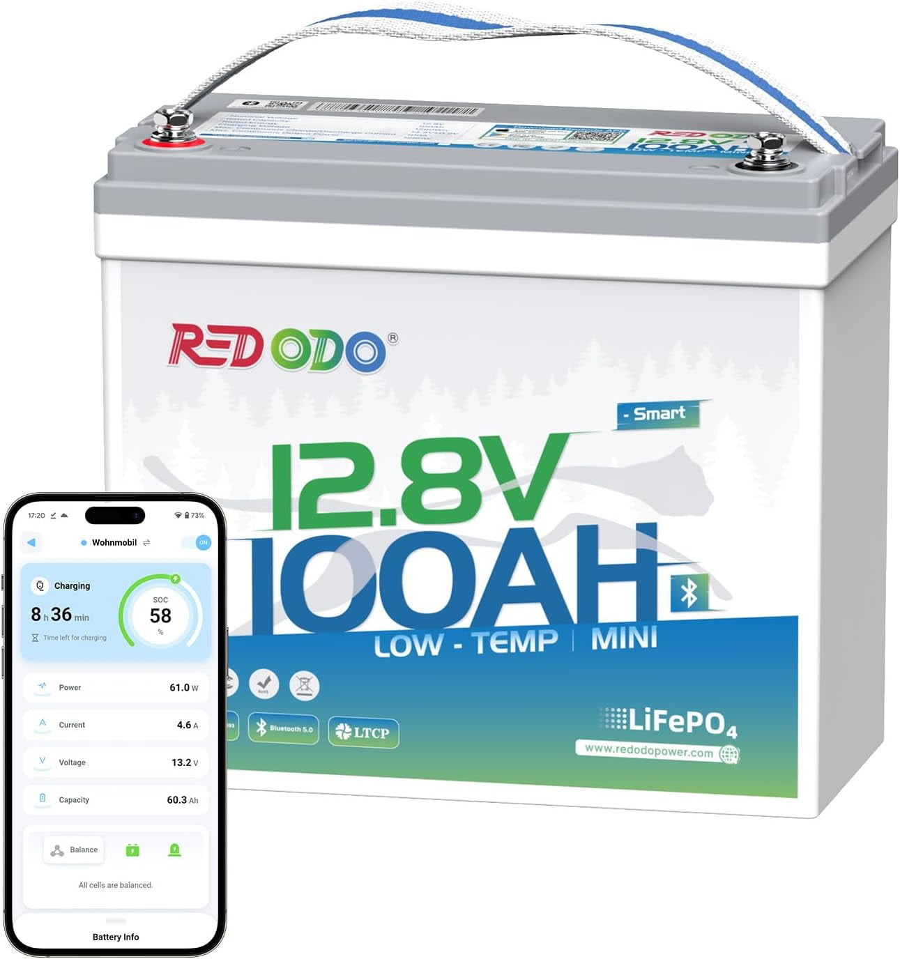 Redodo 12V 100Ah Smart Mini Bluetooth LiFePO4 Battery, Smallest Lithium ...