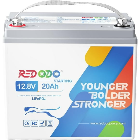 Group 65 Batteries in Car Batteries - Walmart.com