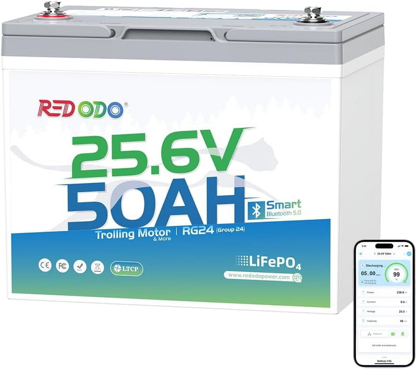 Redodo 24V 50Ah TM Low-Temp LiFePO4 Battery, Bluetooth Lithium Battery ...