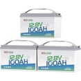 Redodo 3 Pack 12V 100Ah LiFePO4 Battery 100A BMS 1280Wh Group 31 ...