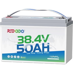Redodo Lithium Batteries in Batteries and Accessories - Walmart.com