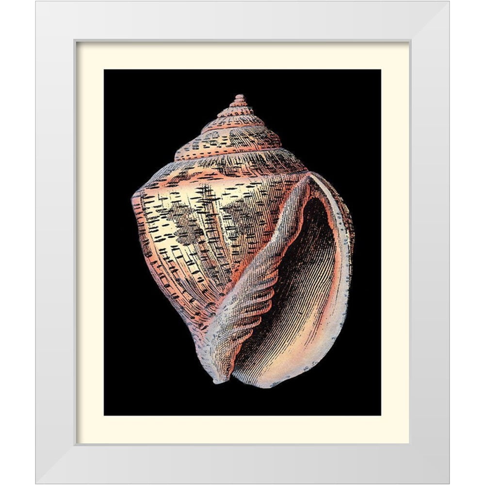 Redoute, Pierre 12x14 White Modern Wood Framed Museum Art Print Titled ...