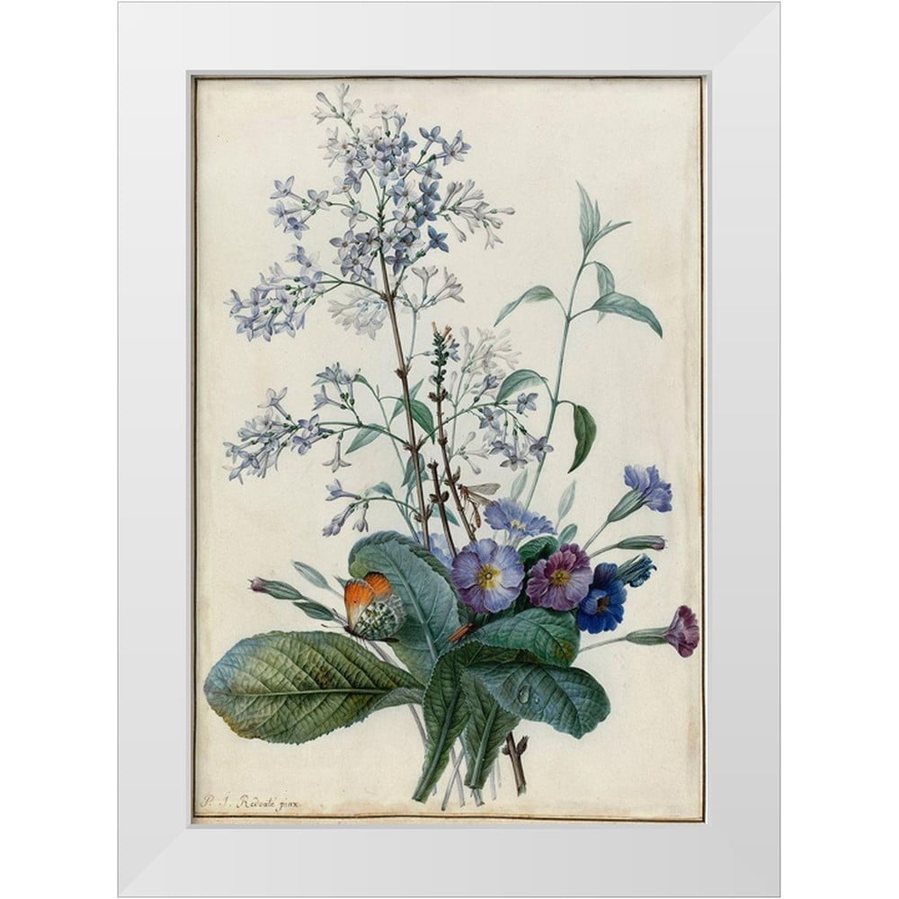 Redoute, Pierre Joseph 11x14 White Modern Wood Framed Museum Art Print ...