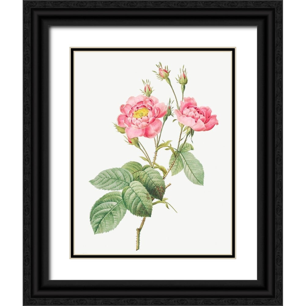 Redoute, Pierre Joseph 12x14 Black Ornate Wood Framed with Double ...