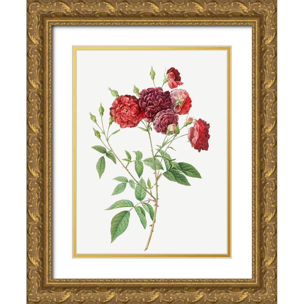 Redoute, Pierre Joseph 14x18 Gold Ornate Wood Framed with Double ...