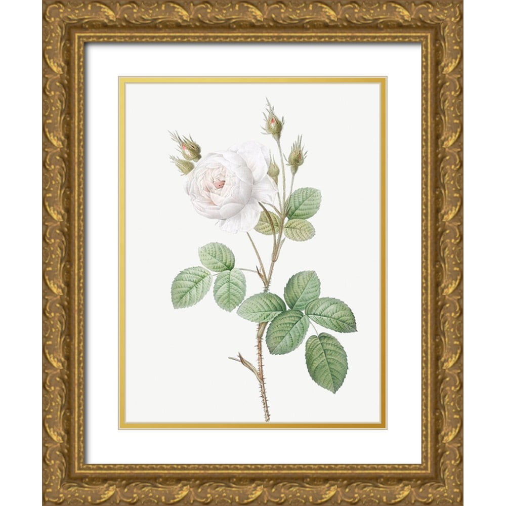 Redoute, Pierre Joseph 15x18 Gold Ornate Wood Framed with Double ...