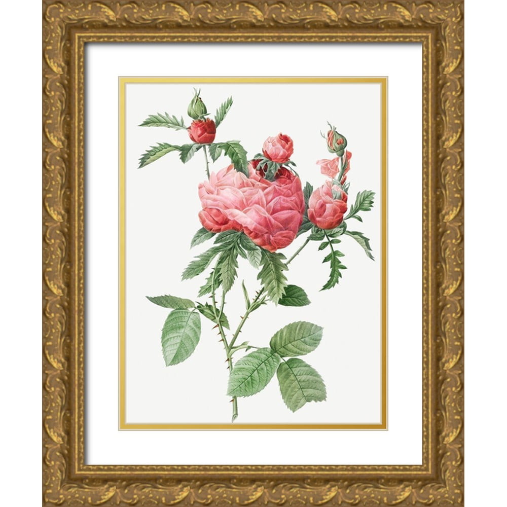 Redoute, Pierre Joseph 19x24 Gold Ornate Wood Framed with Double ...