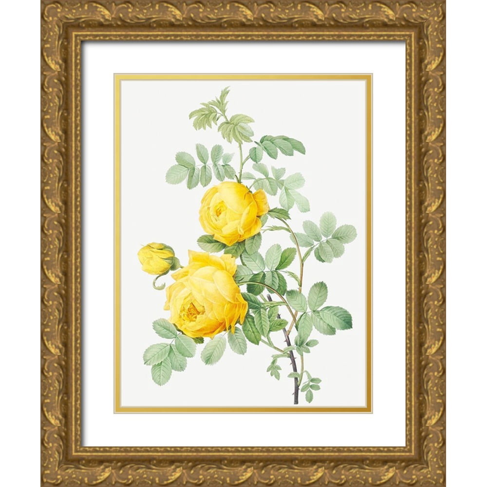 Redoute, Pierre Joseph 19x24 Gold Ornate Wood Framed with Double ...