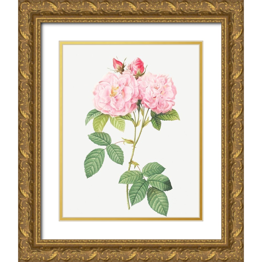 Redoute, Pierre Joseph 20x24 Gold Ornate Wood Framed with Double ...