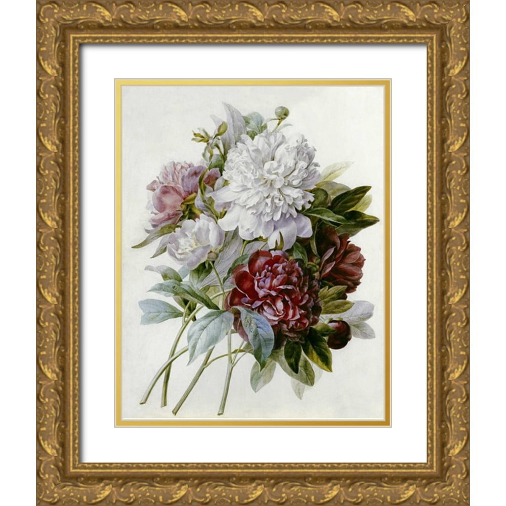 Redoute, Pierre Joseph 20x24 Gold Ornate Wood Framed with Double ...