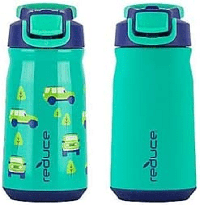 Reduce Leak Proof 14oz Hydrate Pro Water Bottle with Straw & Handle, 2 ...