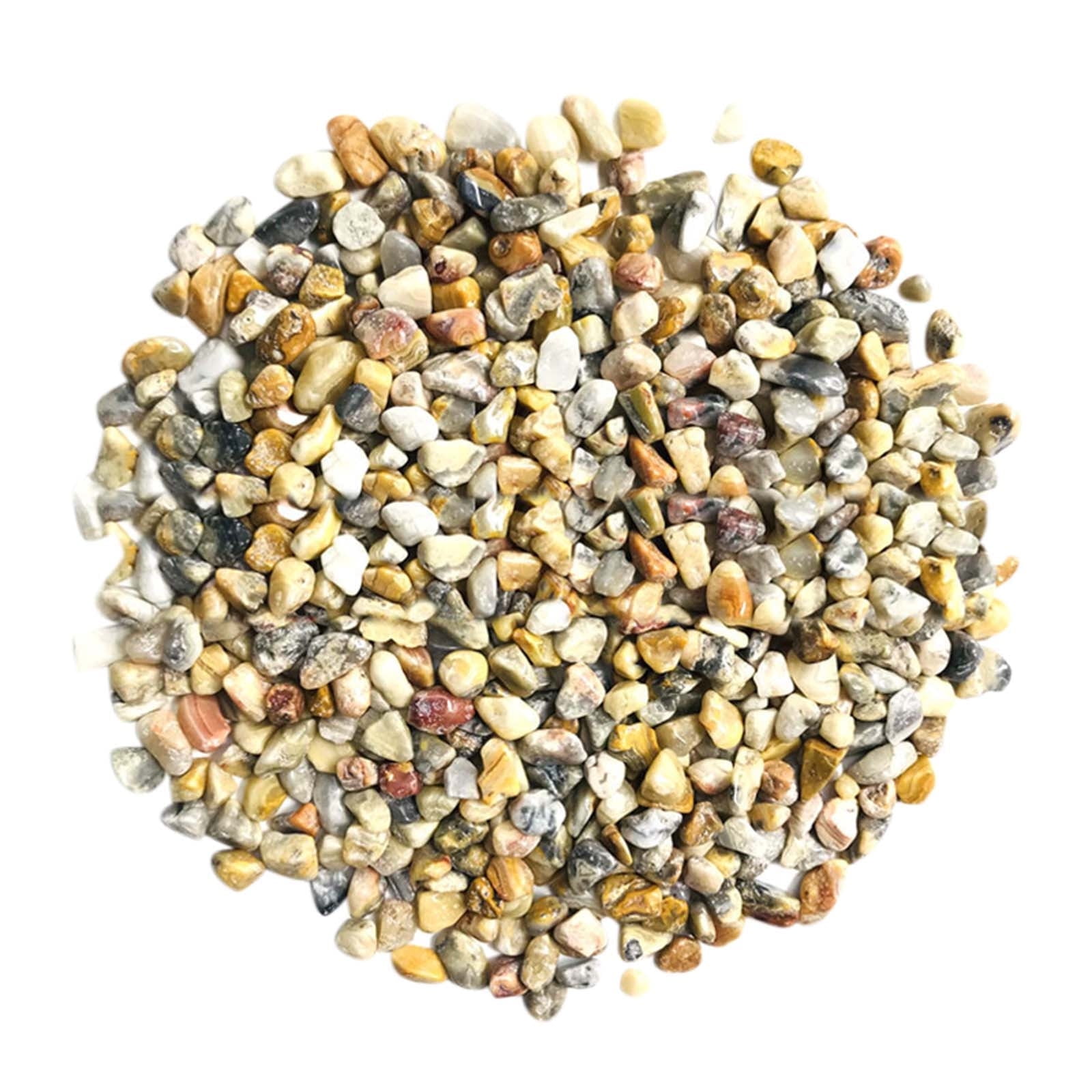 Reduced! JJHGVB Polished Succulent Rocks,Decorative River Pebbles for ...