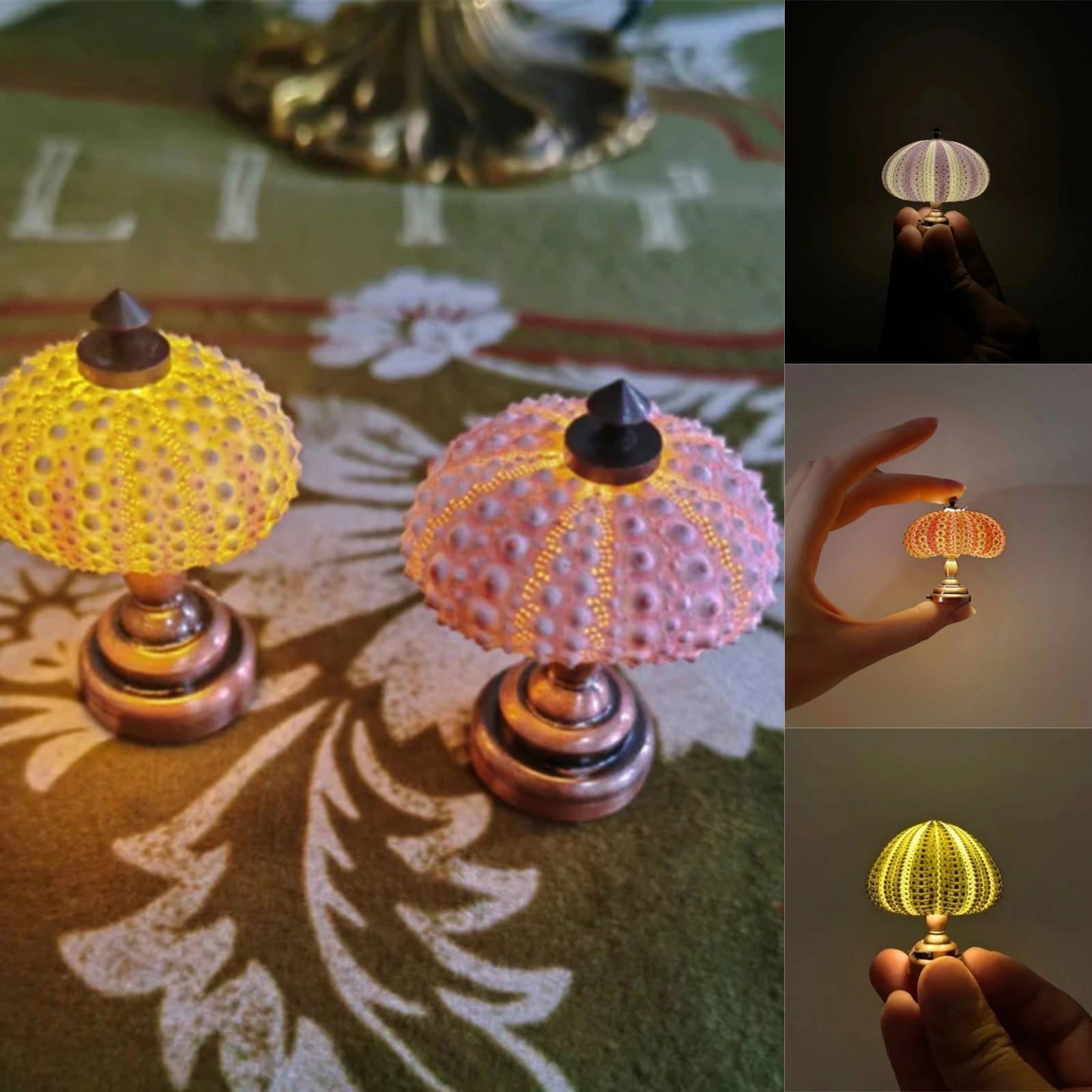 Night Lights DIY Sea Urchin Night Light Creative Beach Themed Sea ...