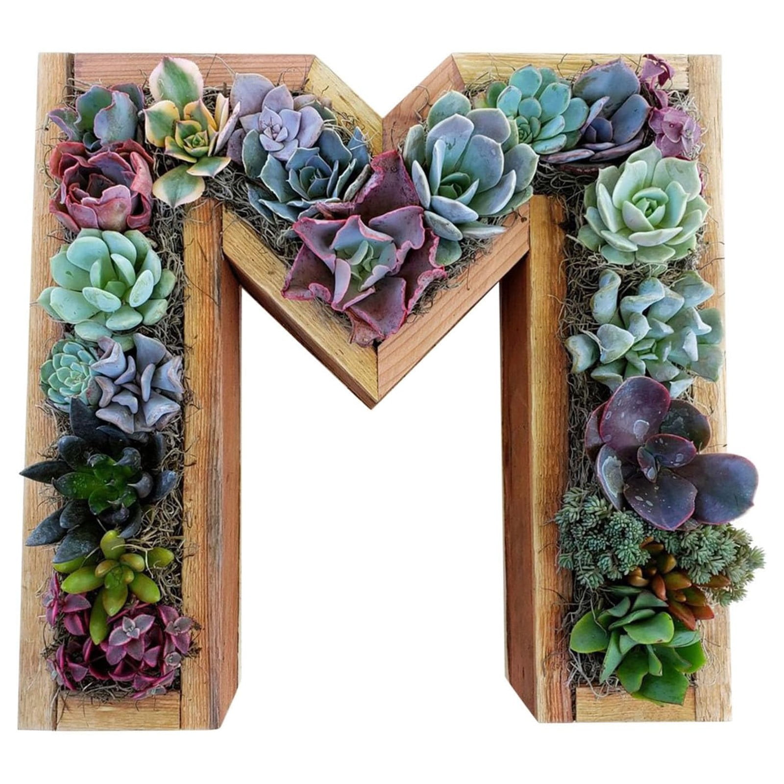 Reduced!VOYOAO Decorative Wall Wooden Monogram Letters with Artificial ...
