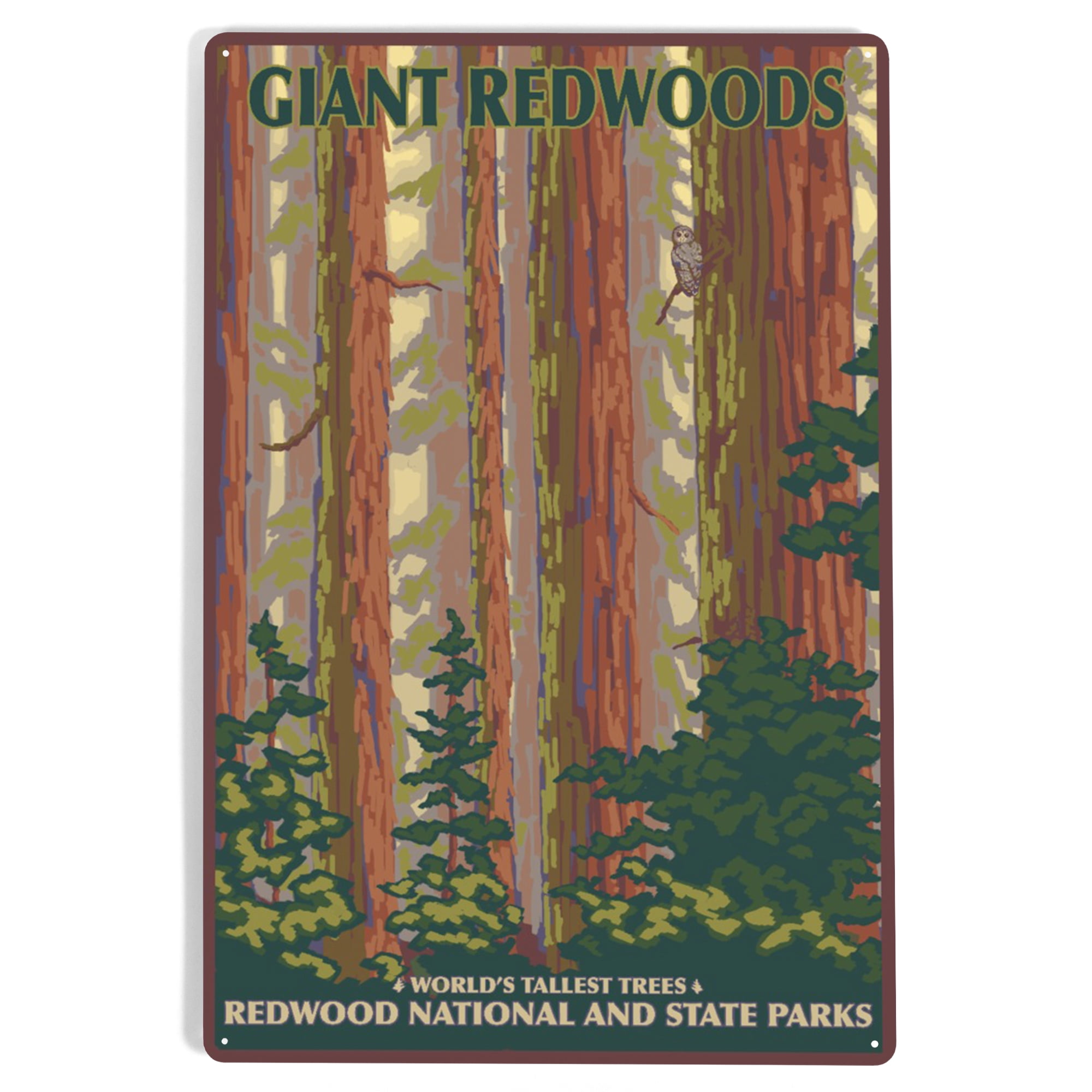Redwood National Park, California (12x18 Aluminum Art, Indoor Outdoor ...