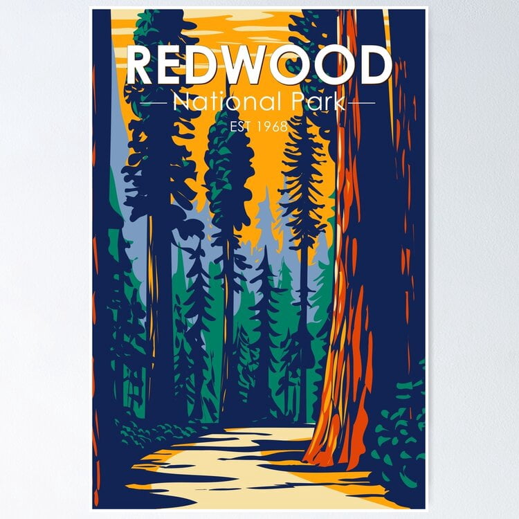 Redwood National Park California Vintage UNFRAMED Poster, 12x18 ...