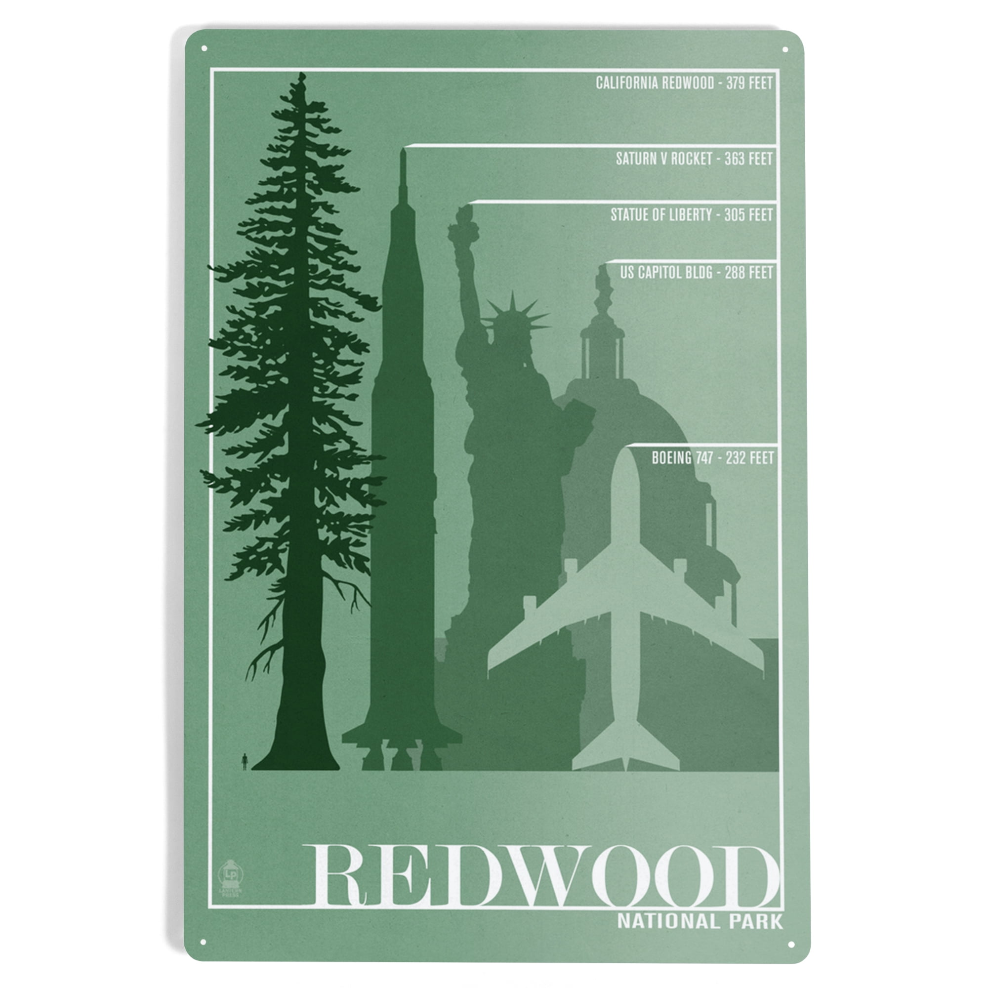 Redwood National Park, Redwood Relative Sizes (12x18 Aluminum Art ...