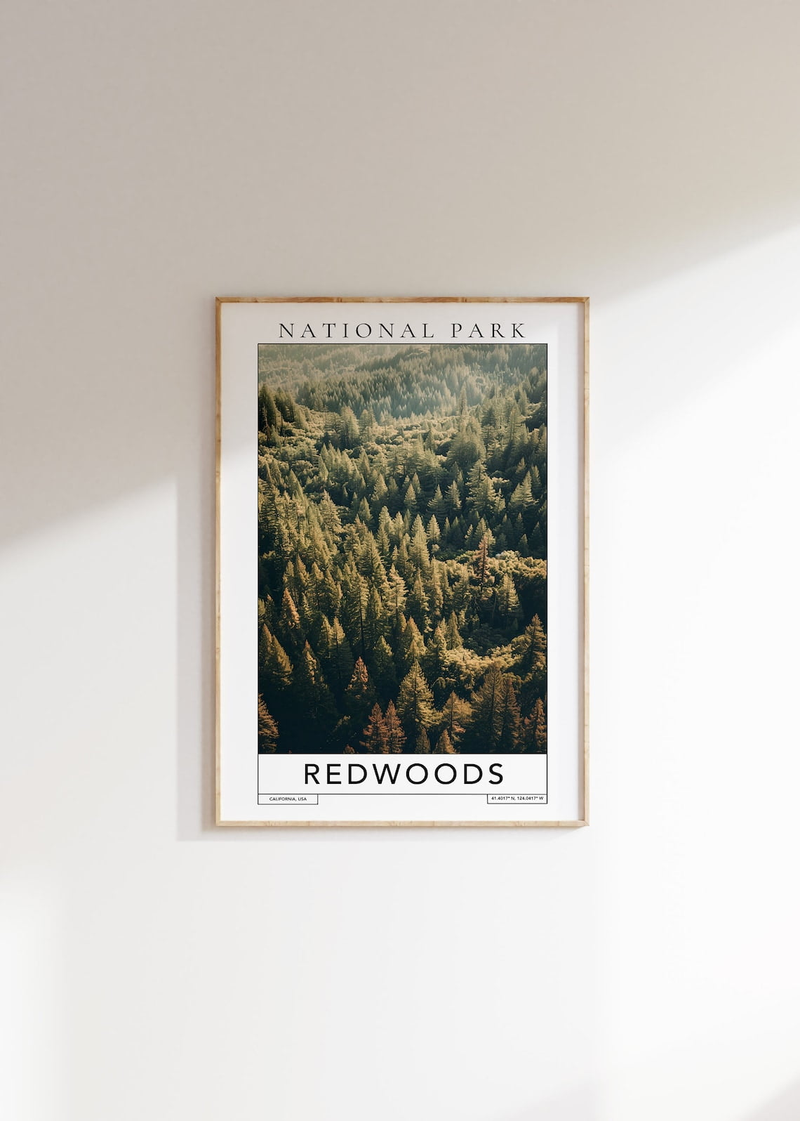 Redwood National Park Travel Poster: California Redwoods Poster ...