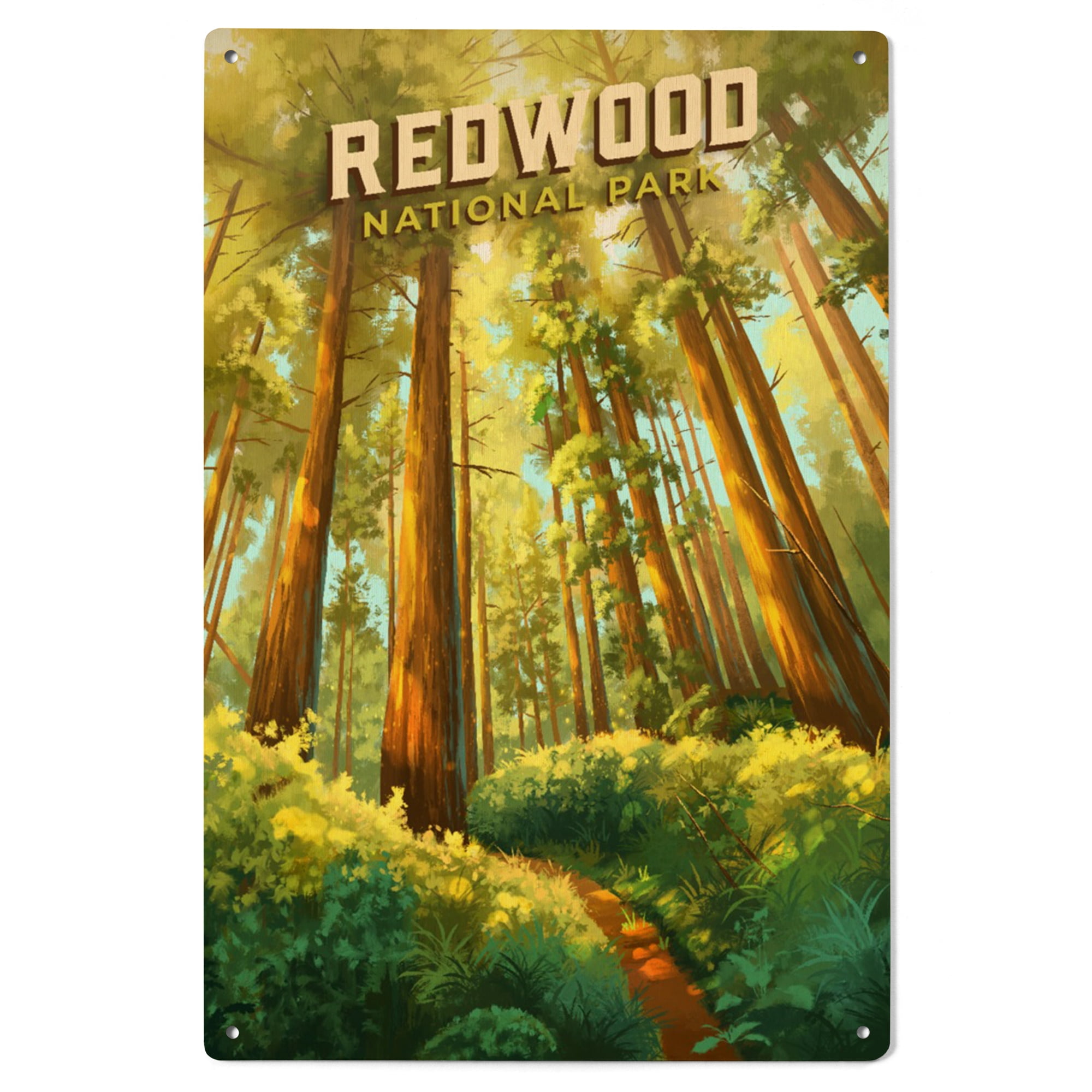 Redwood National and State Parks, California, Oil Painting Birch Wood ...