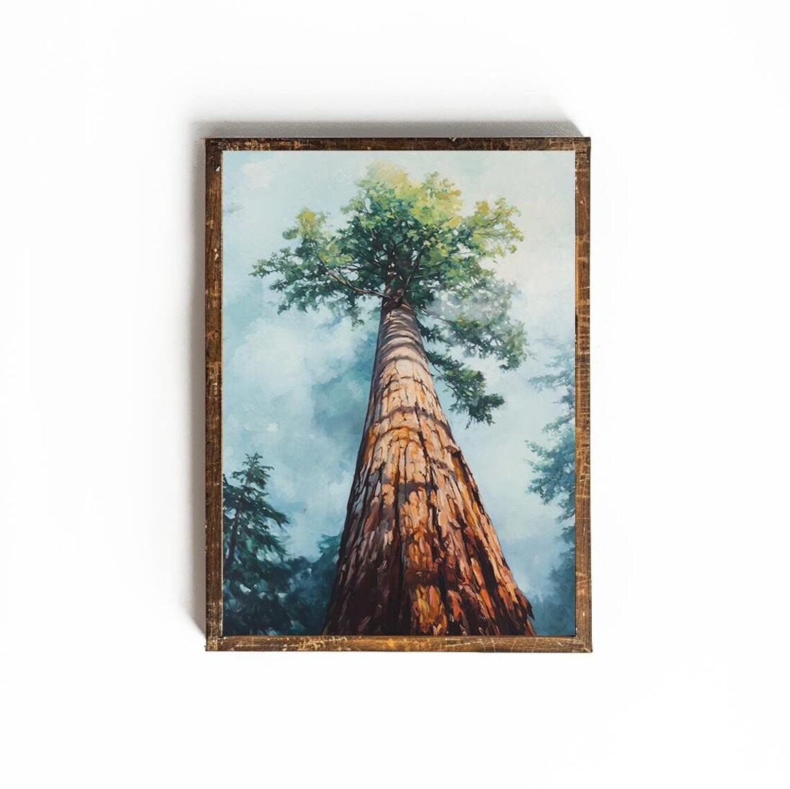 Redwood Tree Poster California Redwood Art Redwood National Park Poster ...