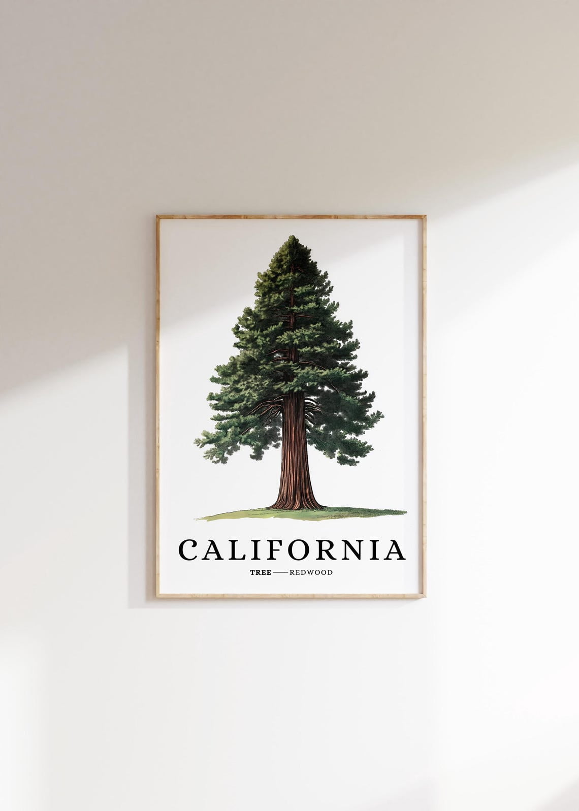 Redwood Tree Poster: California State Symbol, Minimalist Botanical Art ...