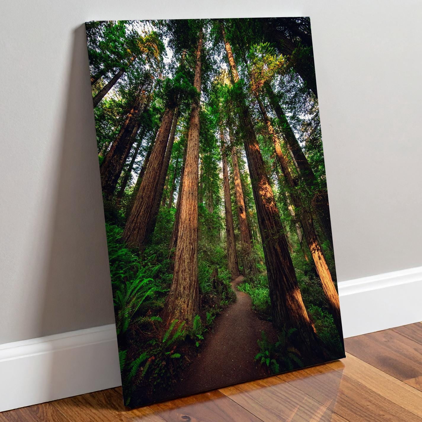 Redwood Trees Poster Redwood National Park Nature Landscape Photography ...