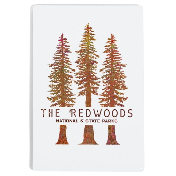 Redwood trees, Redwood National and State Parks (12x18 Aluminum Art ...