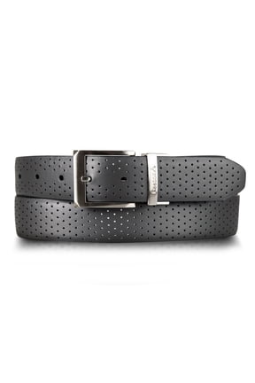 Reversible Belts