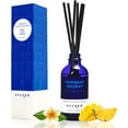 XCLEEN Reed Diffuser Set | Hawaiian Fragrance, Mangoes, Pineapples, Peach & Melon Scent, 3.7 Oz ...