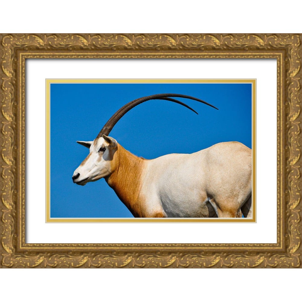 Reed, Dolores 18x13 Gold Ornate Wood Framed with Double Matting Museum ...