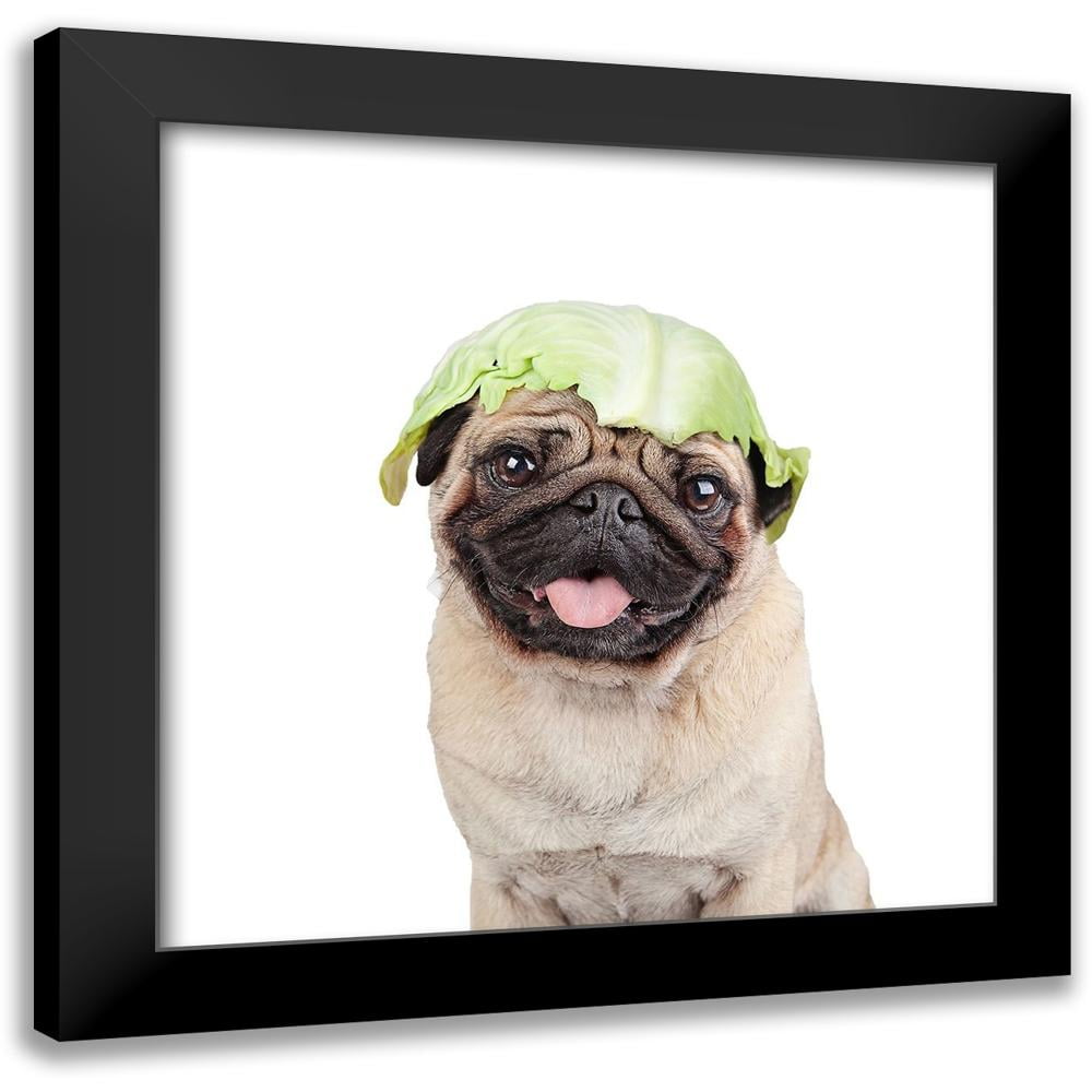 Reed, Michele 20x20 Black Modern Framed Museum Art Print Titled ...