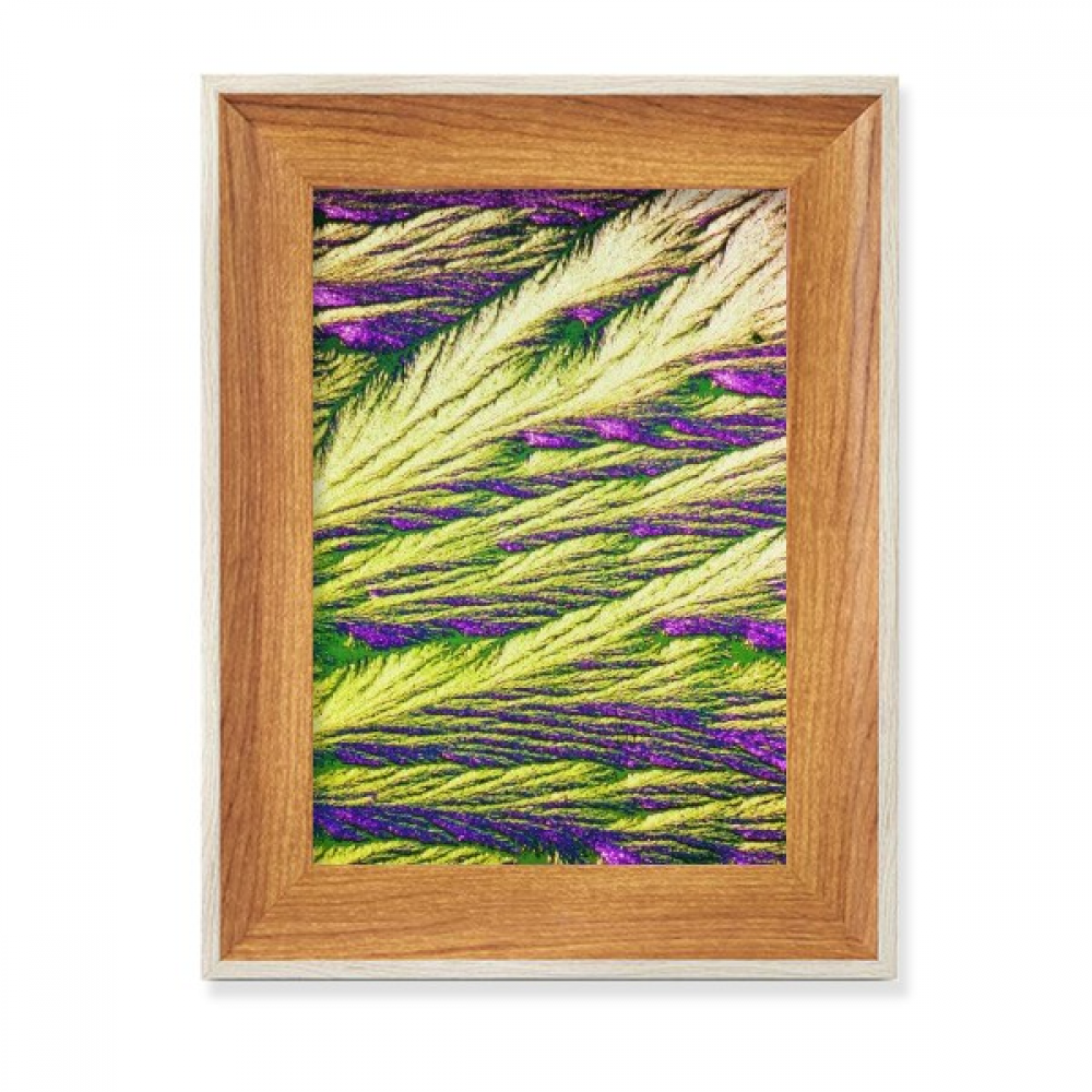 Reeds Cluster Feather Colour Wallpaper Desktop Wooden Photo Frame ...