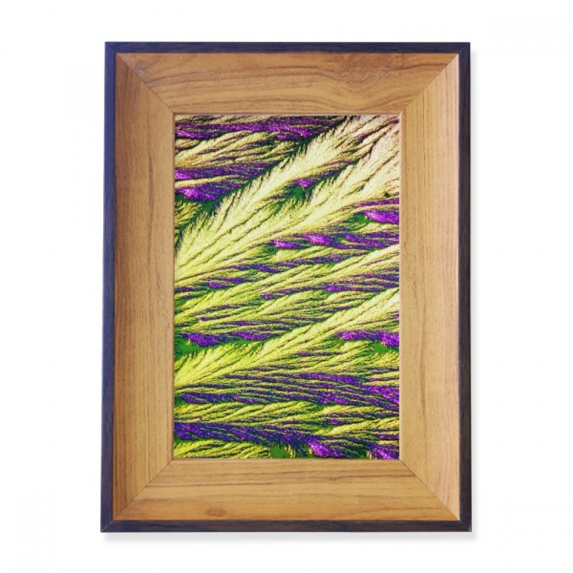 Reeds Cluster Feather Colour Wallpaper Photo Frame Exhibition Display ...