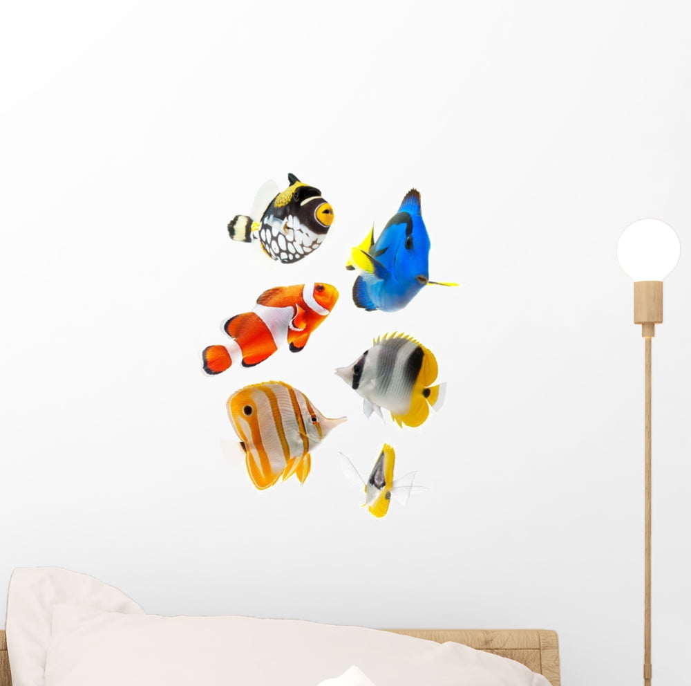 Reef Fish Wall Decal by Wallmonkeys Peel and Stick Graphic (12 in H x 9 ...