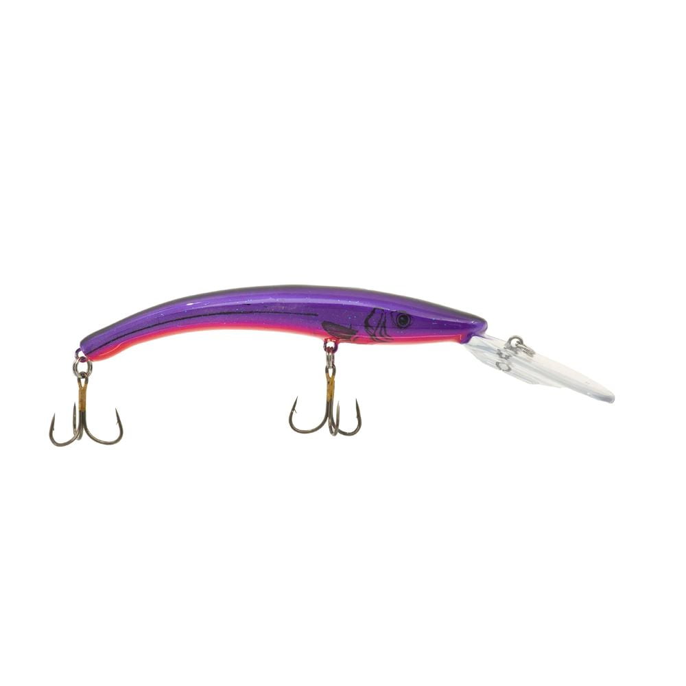 Reef Runner 800 Series Deep Divers Fishing Lure Hard Bait Crank Bait 6 ...