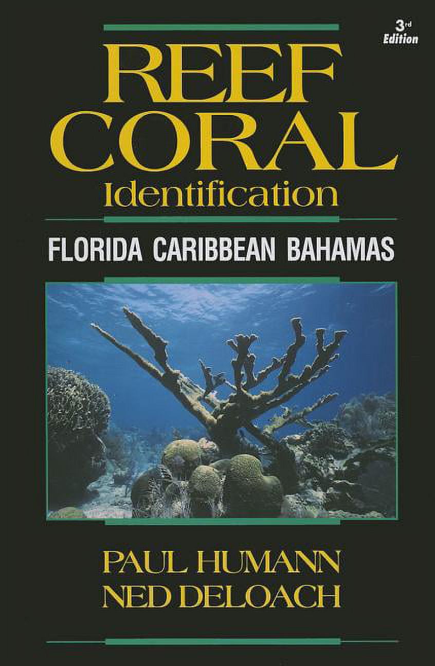 Reef Set (New World) Reef Coral Identification: Florida Caribbean ...